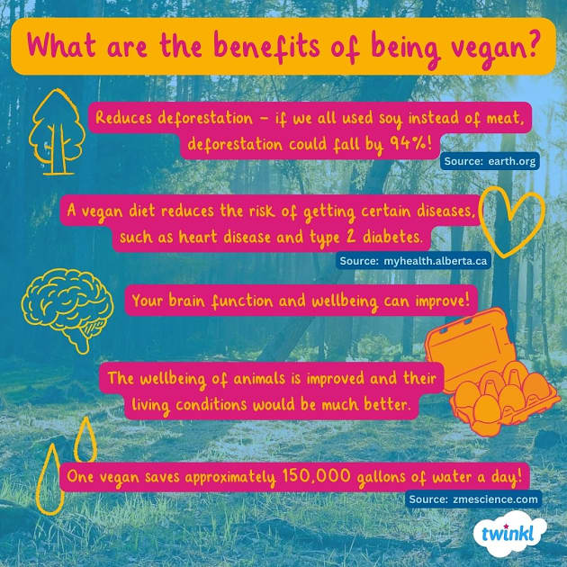 11 Easy Vegan Recipes that Kids will Love | Twinkl CA